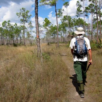 Learn About Everglades National Park - Florida National Parks Association